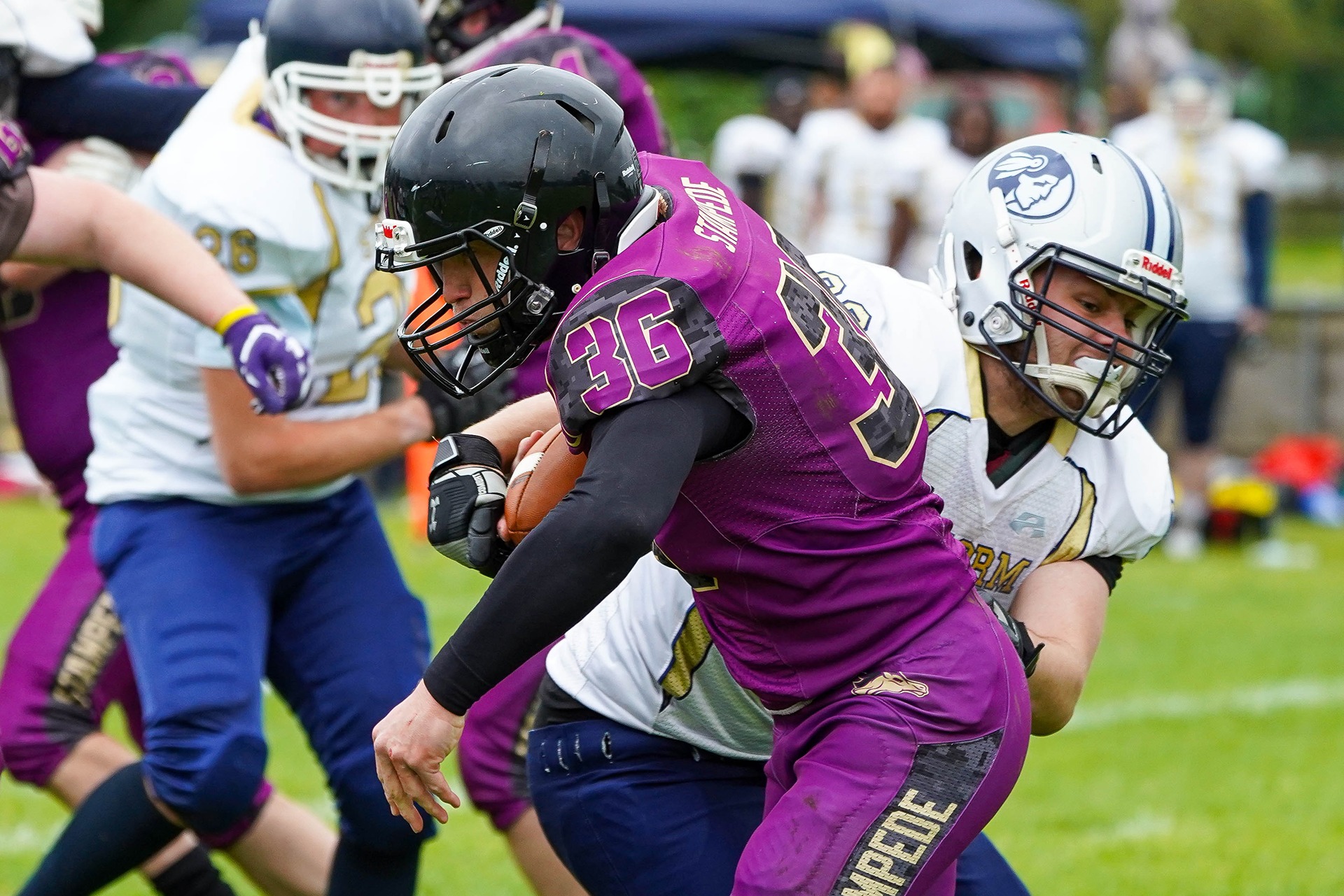Hereford Stampede vs Swindon Storm - June 5th 2022 - Hereford Stampede